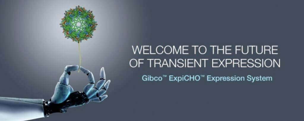 [Bio-Material] 一過性発現 – 品質・生産性とも安定発現株に迫る – Gibco ExpiCHO Expression ...